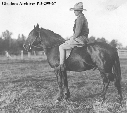 Heroes, Heroines, and History: Alberta's Edward Prince Ranch