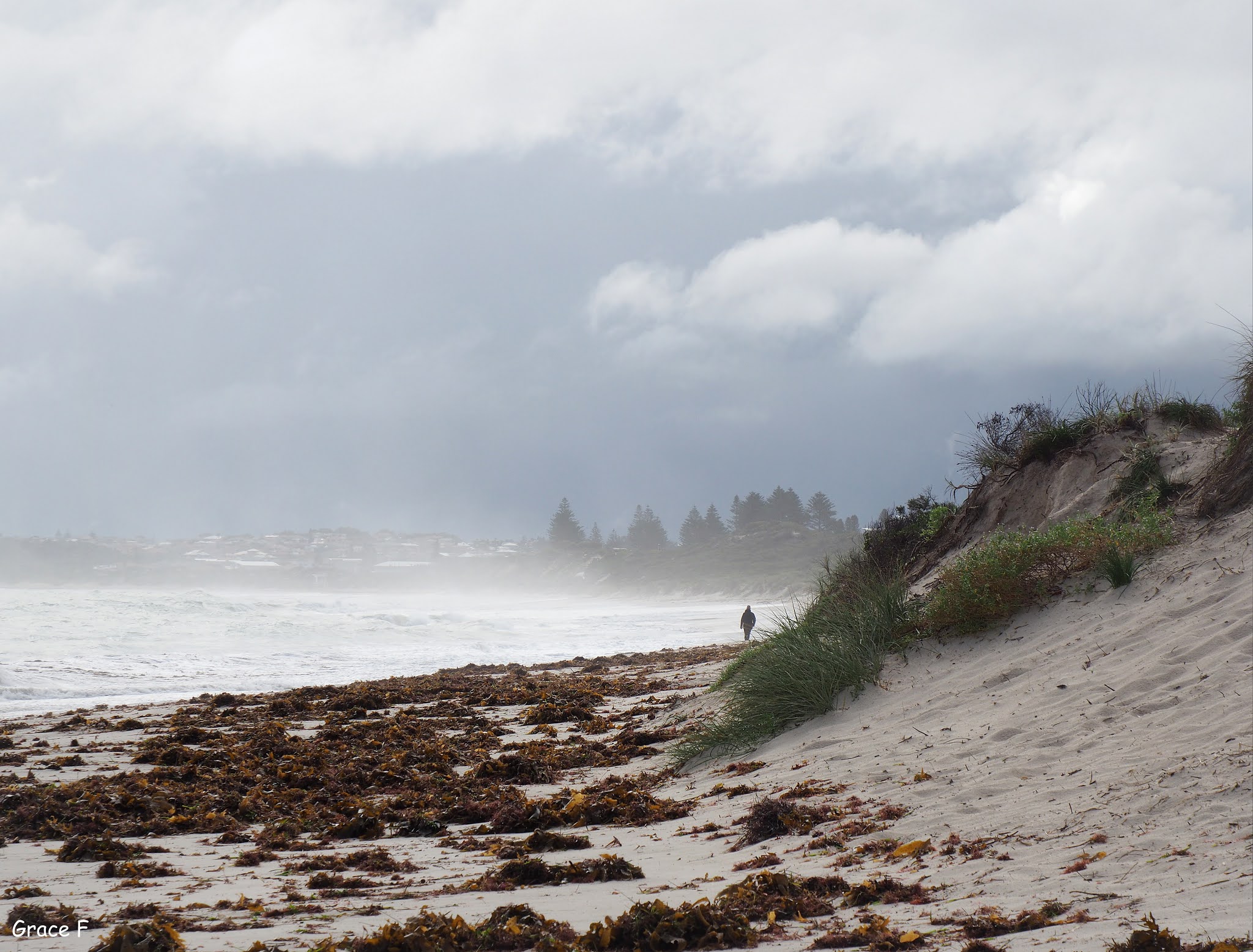 Perth Daily Photo : Brass monkey weather..