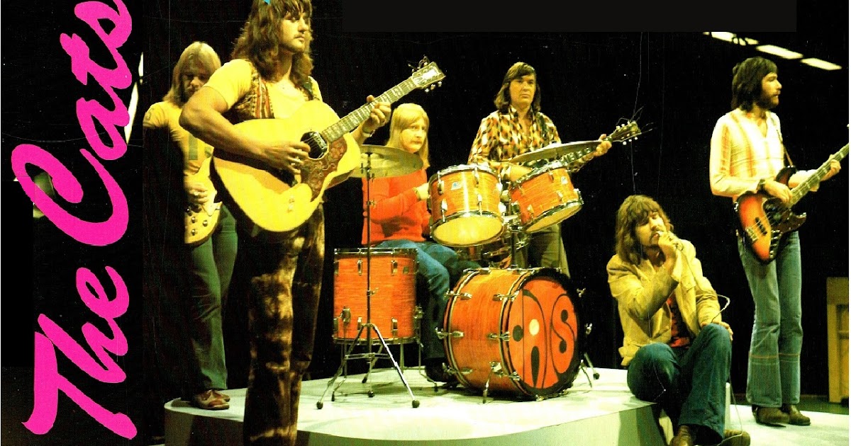 Wonderful 60's and 70's: The Cats - One Way Wind 1971