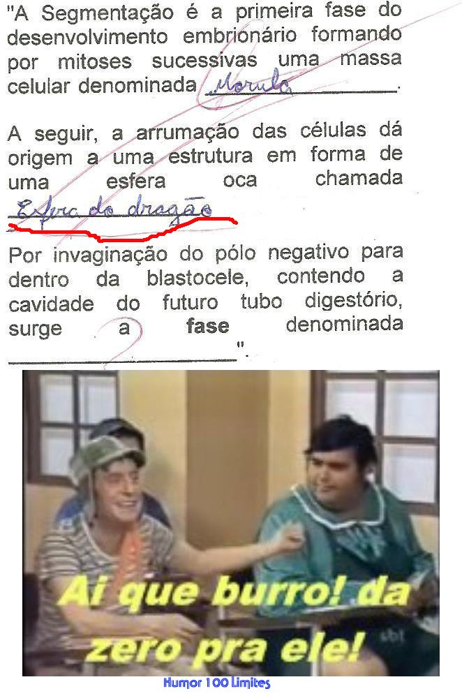 Humor 100 Limites: novembro 2012