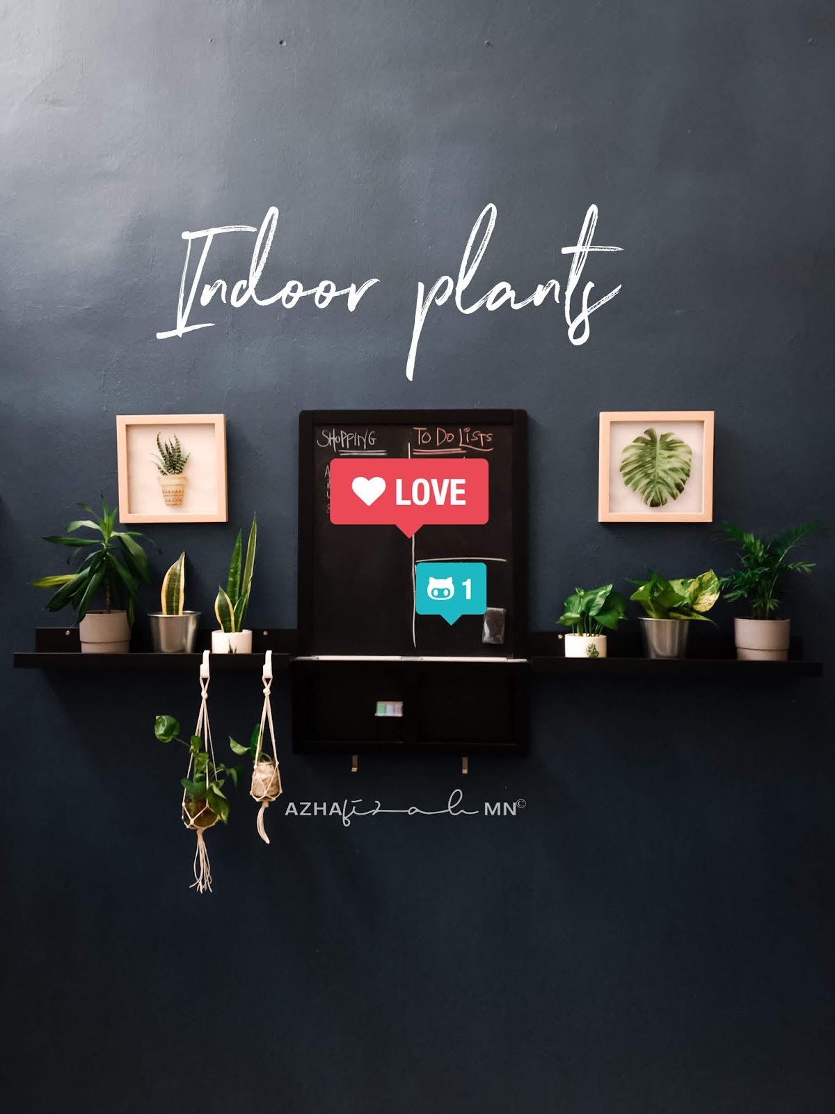 Deko-Deko Indoor Plants | Blog Sihatimerahjambu