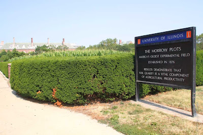 Public Art in Chicago: UIUC [Morrow Plots]