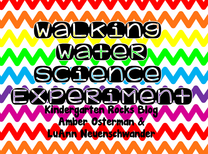 Walking Water Experiement | Kindergarten Rocks! | Bloglovin’