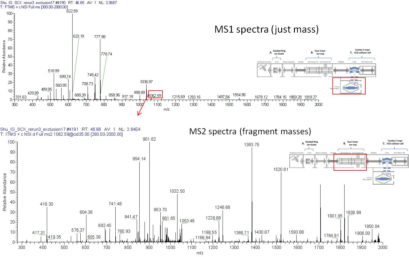 News in Proteomics Research: Dynamic exclusion mass windows -- and why ...