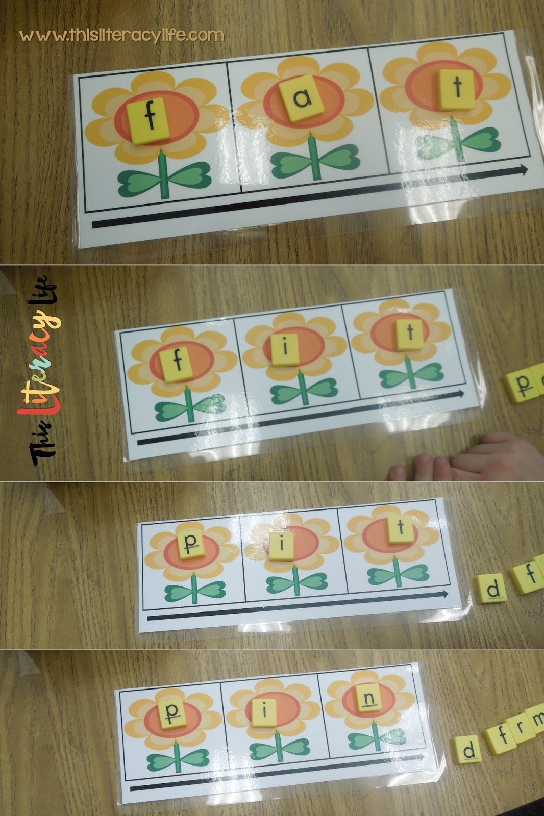 Blooming Young Readers Using Elkonin Boxes | This Literacy Life