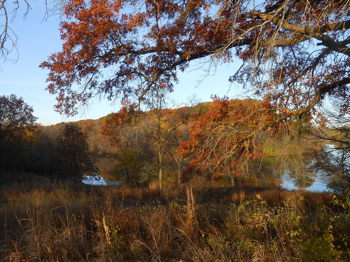The Lucas Countyan: Sunday morning rises at Red Haw State Park