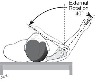 UW Shoulder and Elbow Academy: Stretching - a key to recovery in ...