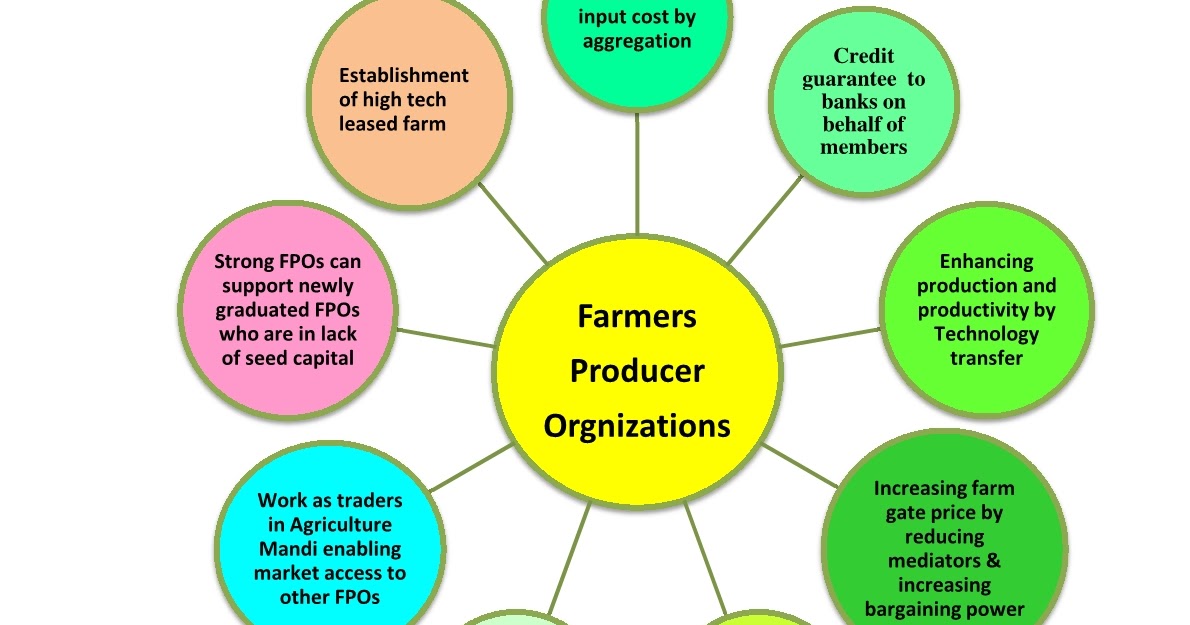 Farm Producer Organisation at Sergio Hasting blog
