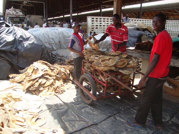 Unique Entertainment Blog: SOKO LA SAMAKI MWALONI JIJINI MWANZA