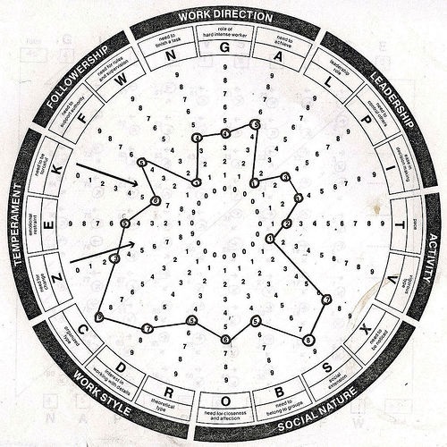 Psikotes Perception and Preference Inventory (PAPI) - Petunjuk Onlene