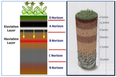 Penjelasan tentang Sifat Fisis dan Marfologi Tanah | Ilmu Sains