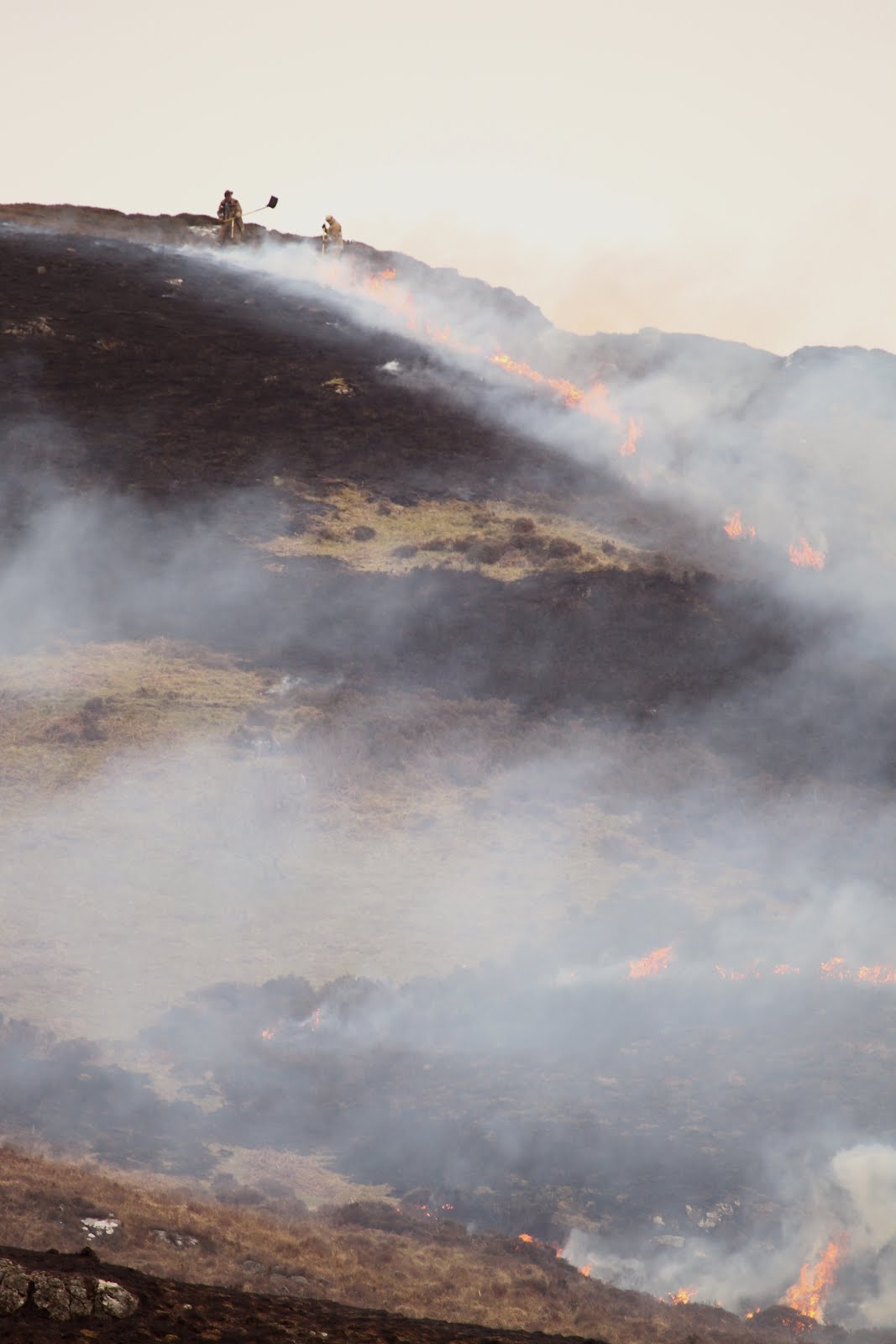 A Kilchoan Diary: More Hill-Fire Pictures