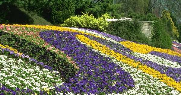 Pengertian Pemuliaan Tanaman ~ All About Agriculture