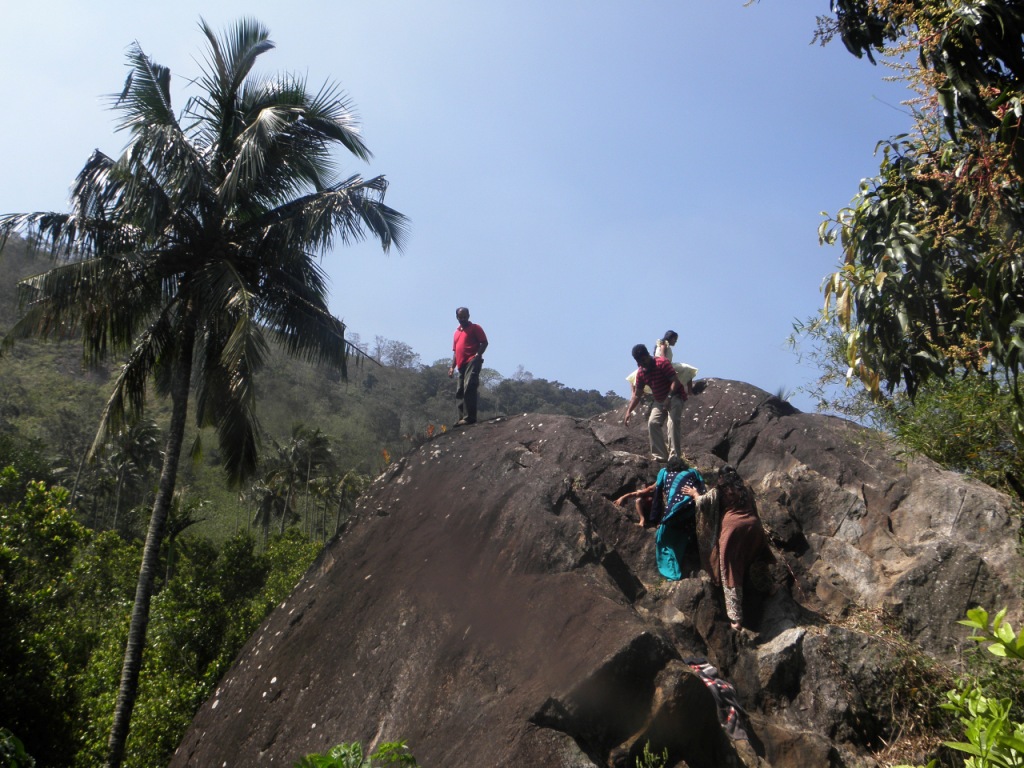 Nature Enthus - DLC : Rajathottam - The Ruler's Choice