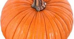 Mazingira Natural Products-MNP: MAAJABU YA MBOGA ZA MABOGA