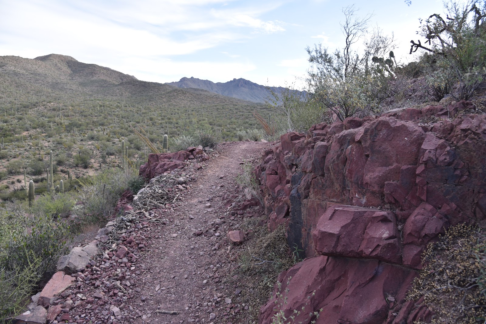 Arizona Hiking: BROWN MOUNTAIN