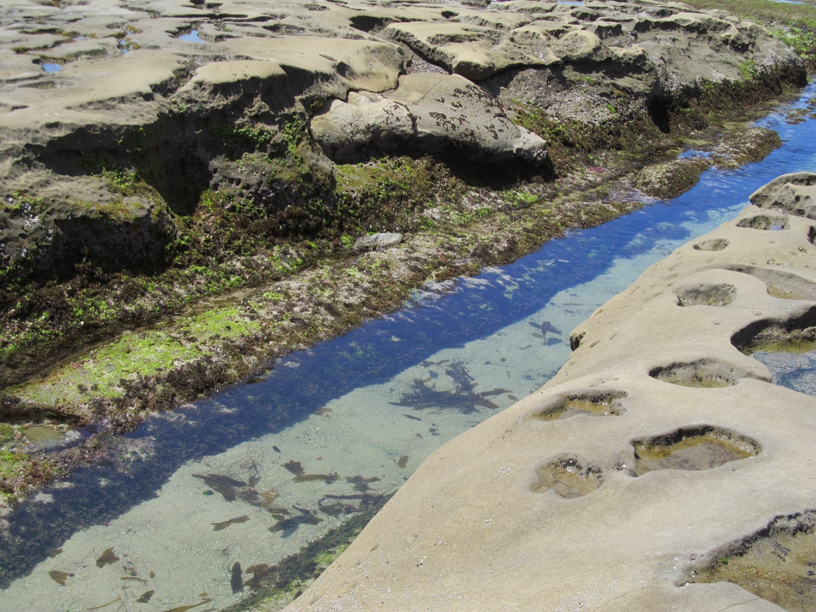 Remarkable Adventures