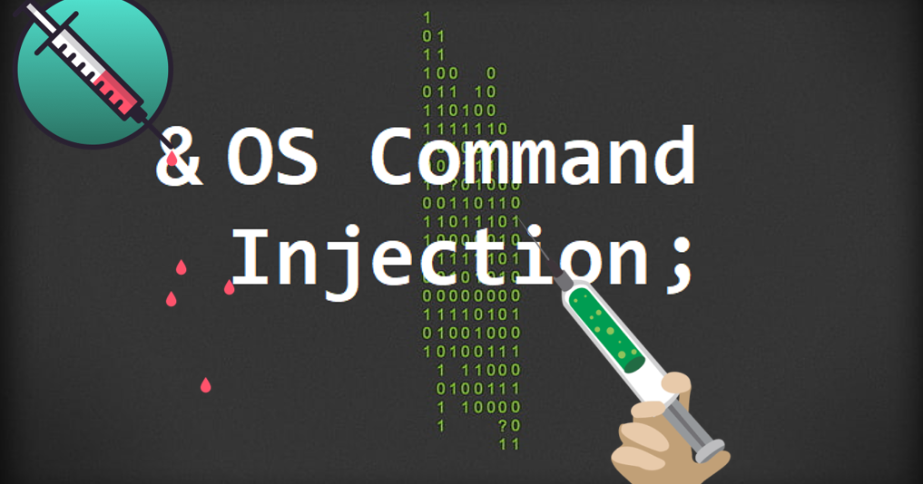 OS Command Injection (Natas 9)