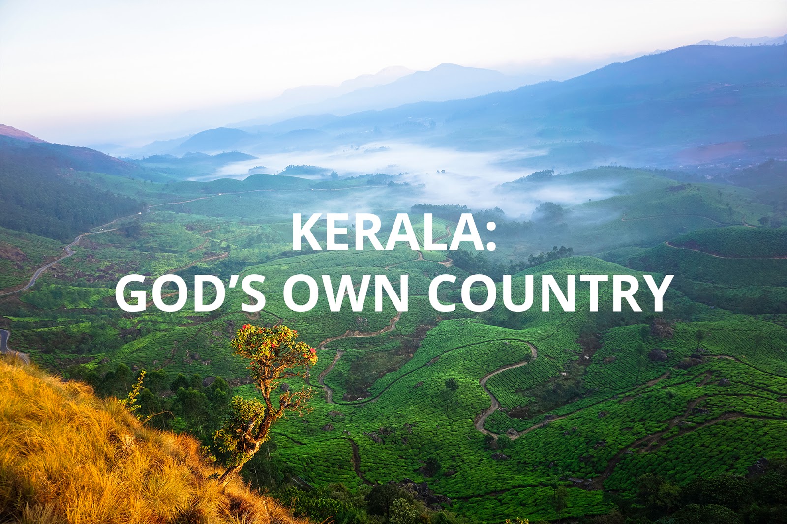 Memories Worldwide Tours & Travel: KERALA - GOD'S OWN COUNTRY