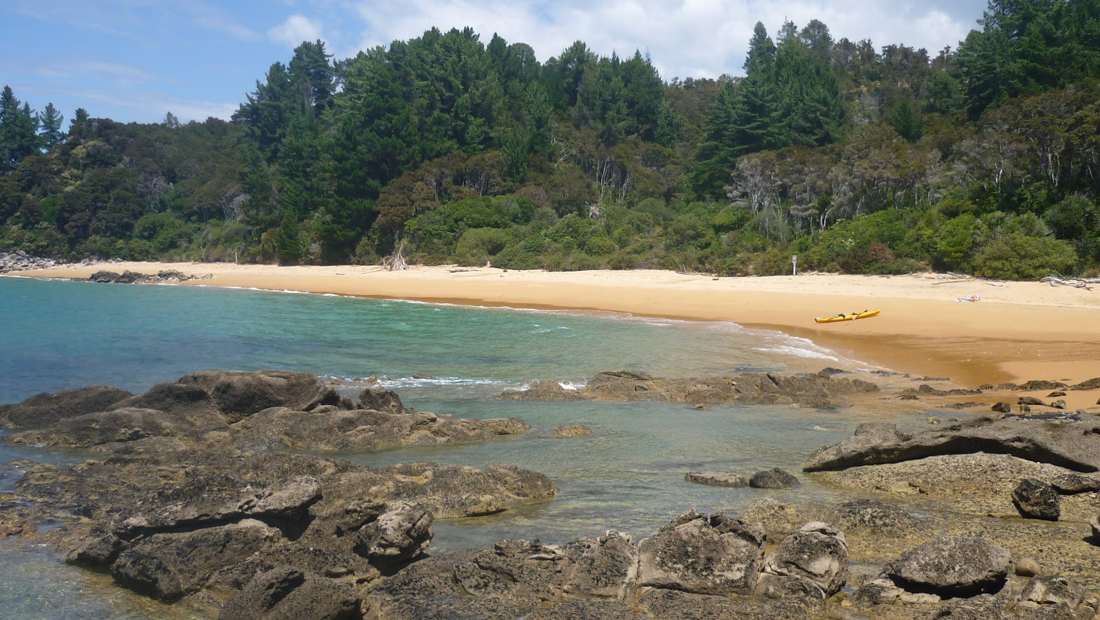 New-Zealand Adventure: Tondre des lamas à Cissy bay