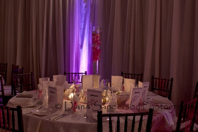 Diana Sanderson Photography: Rodean School (SA) Matric Dance Set up