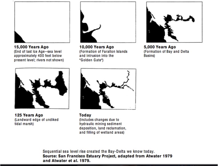 The California Delta: The California Bay Delta