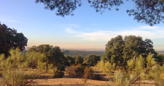 Disfrutando de Madrid: Paseos por El Monte del Pardo
