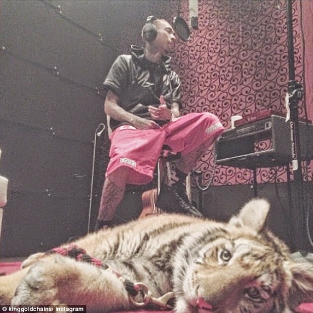 Rapero Tyga es denunciado por posesión ilegal de un tigre - Seamos Mas ...