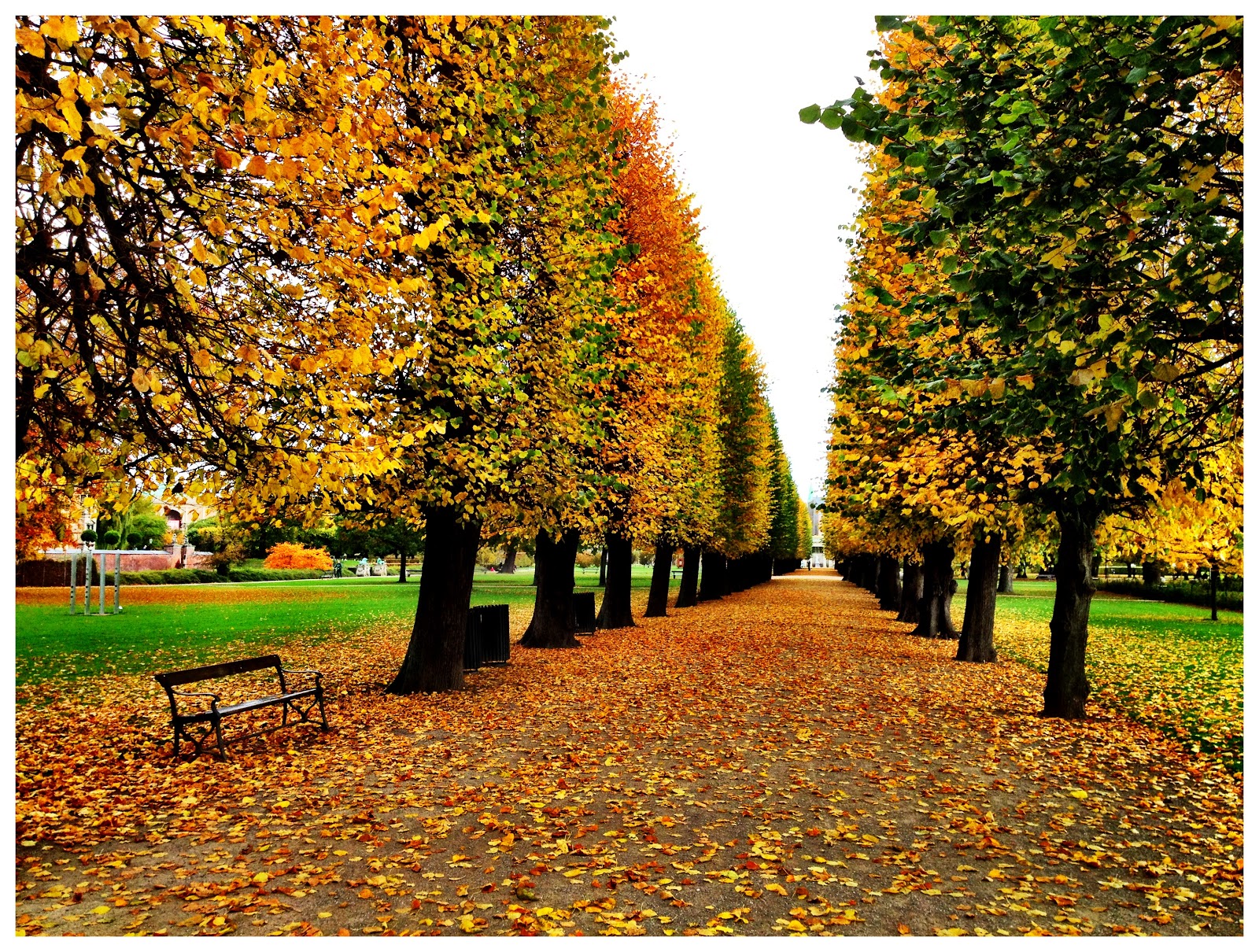 Copenhagen Clicks: Autumn in Kongens Have