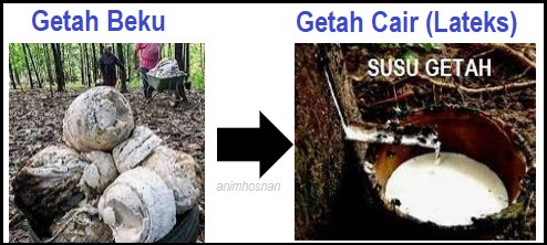 Anim Agro Technology: TUKAR GETAH BEKU KEPADA LATEKS