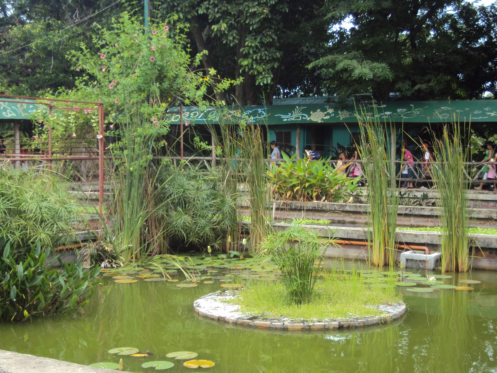 hatsokolitmelk: Crocolandia in Talisay City Cebu