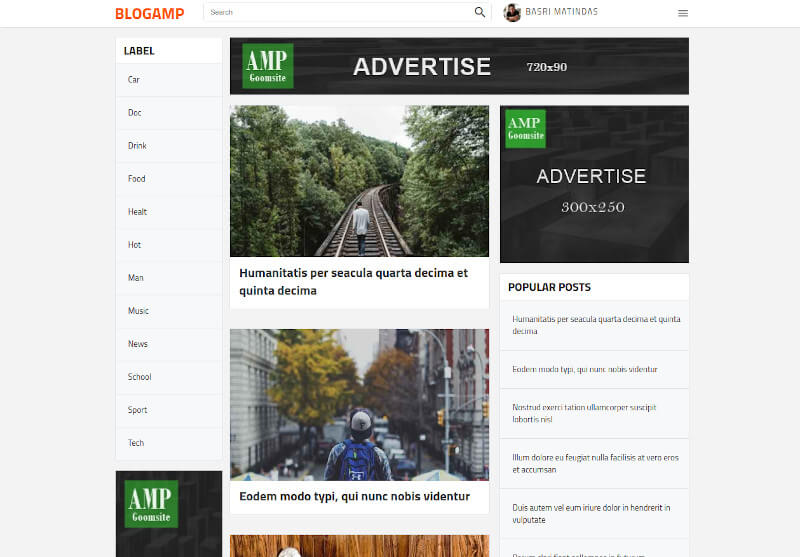 10 Best Amp template for blogger in 2021 [Free]