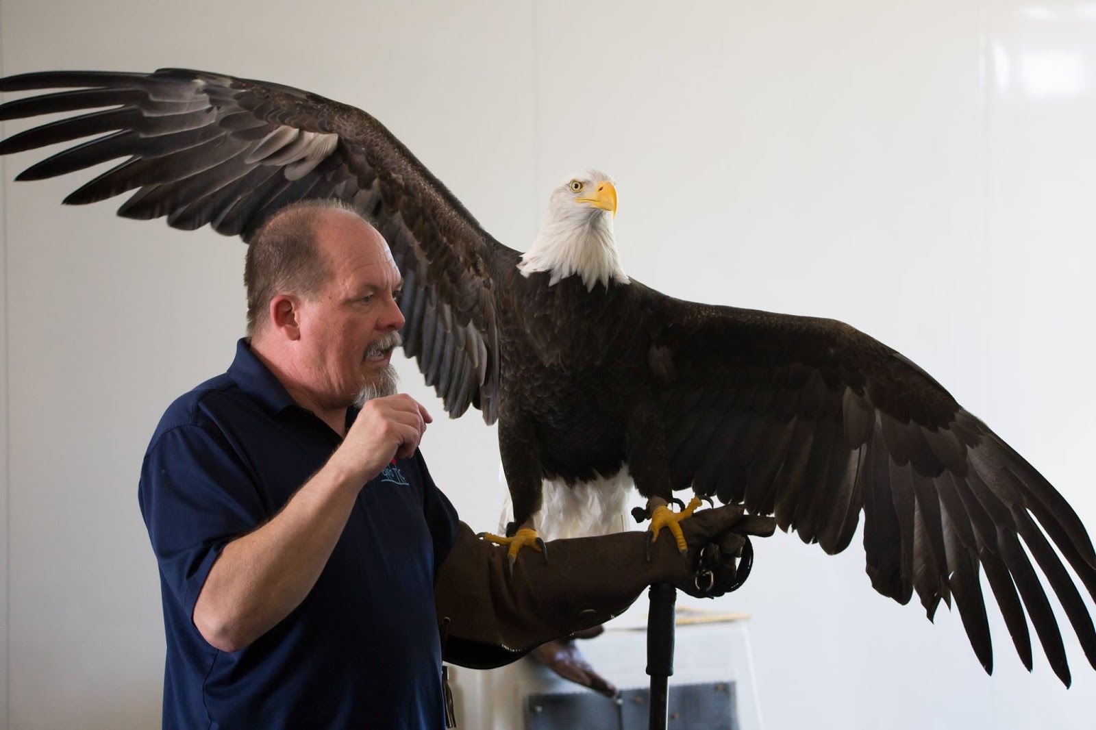 Bird Treatment and Learning Center