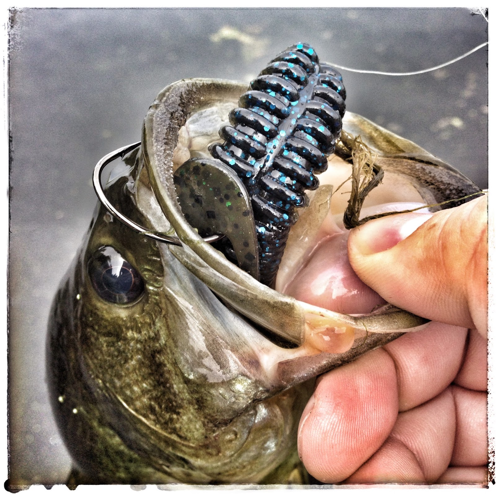 Bass Junkies Frog Pond: NetBait Kickin B Review