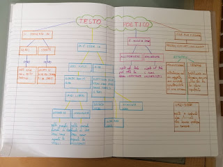maestracarmela: Il testo poetico