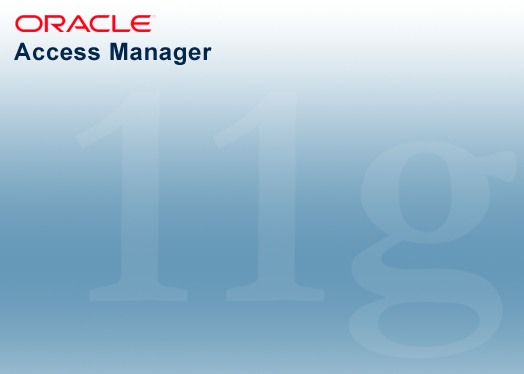 Oracle 11g Logo