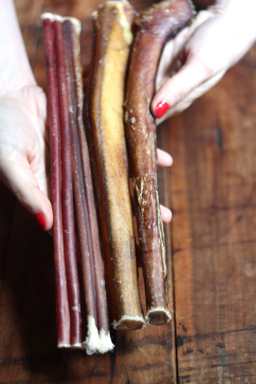 Best Bully Sticks: Basil's Two Thumbs (paws?) Up | 17 Apart