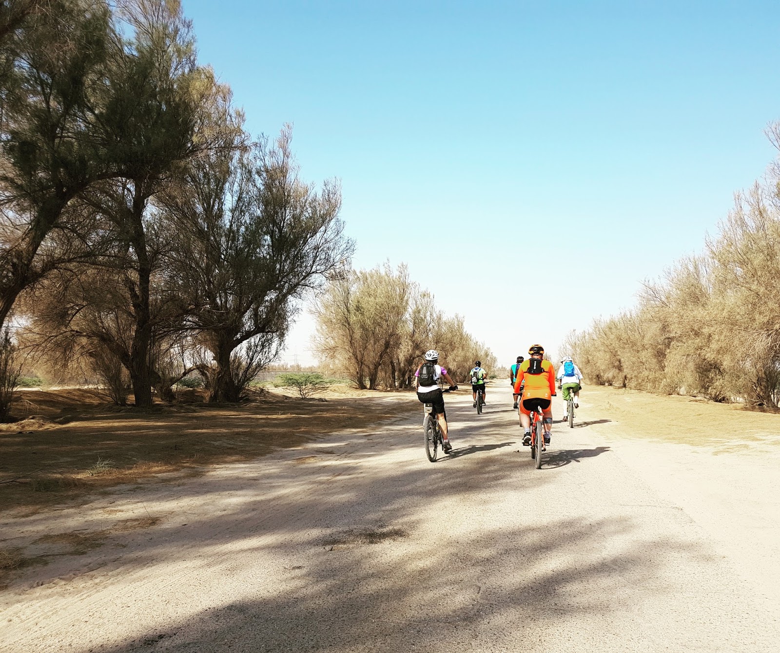 GAATEH KUWAIT (CYCLING): ROUTE 07: SULAIBIYA FARM