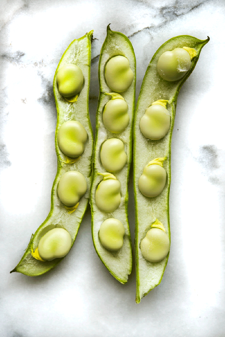 A Cornucopia of Spring Vegetables - WILD GREENS & SARDINES