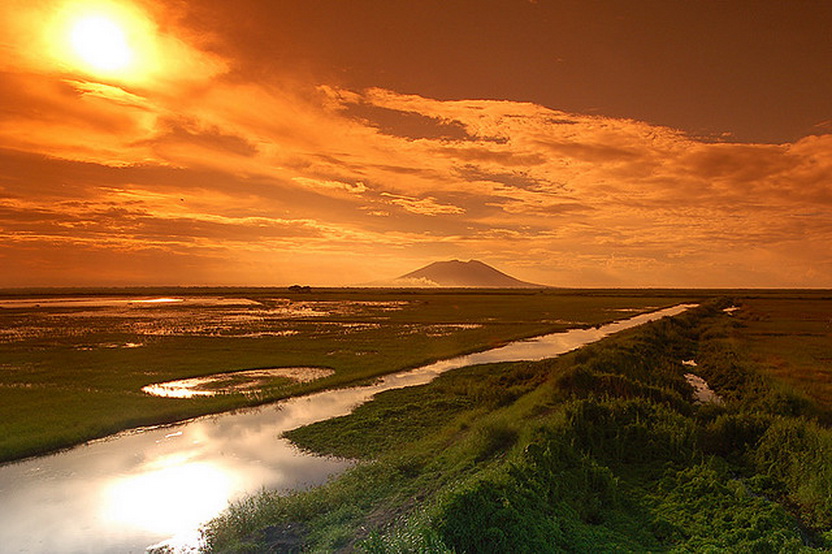 Alam Mengembang Jadi Guru: Rawa-Rawa Terindah di Dunia