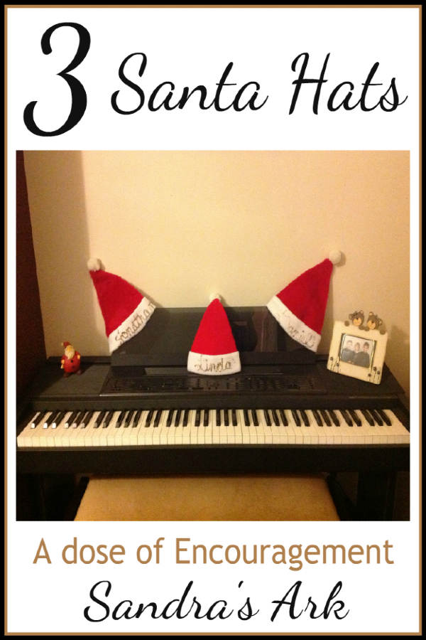 Sandra's Ark: 3 Christmas Hats - A Dose of Encouragement
