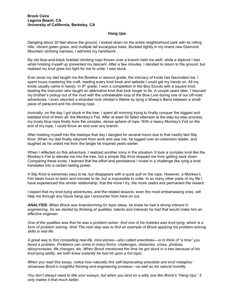 Prompt 2 Uc Essay Examples ~ Resume Letter