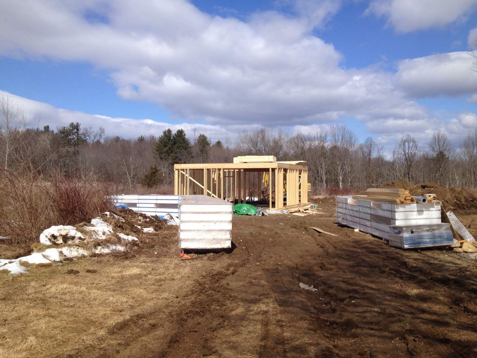 Potwine Passive House Blog: Week 11 - First floor framing completed