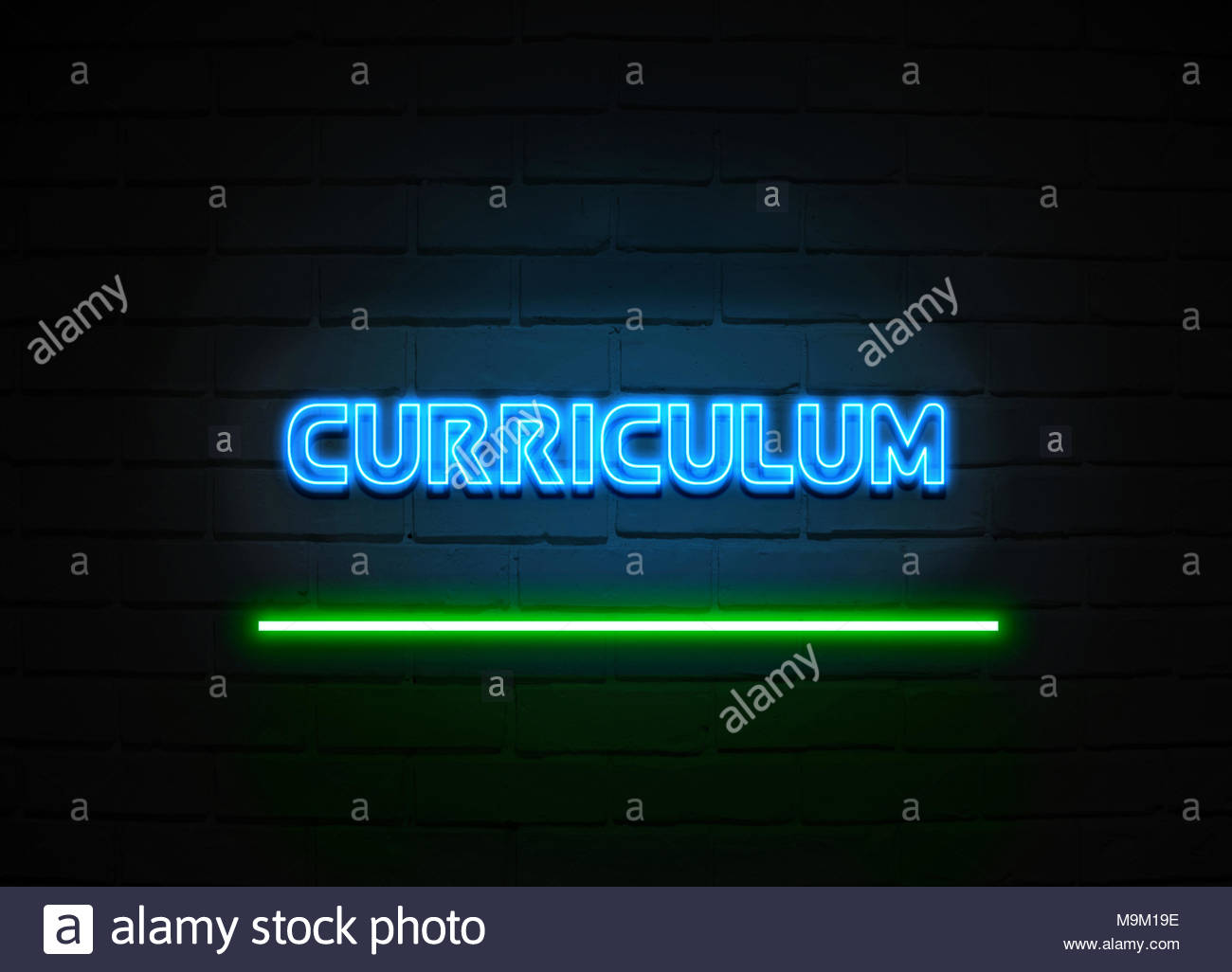 Invictus Leo Jiu Jitsu Collective: 2021