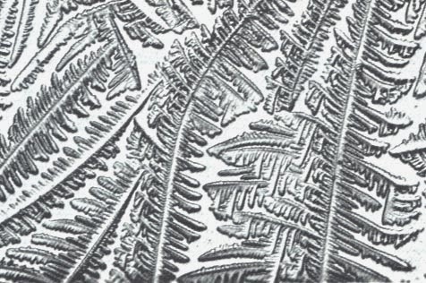 Two Leaves, Same Tree