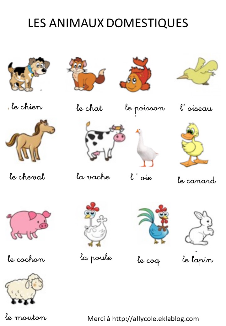 Bonjour San Isidro!: UNITÉ 3: LES ANIMAUX