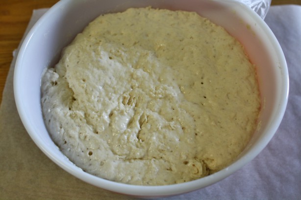 4 Ingredient Crusty Bread — Mommy's Kitchen