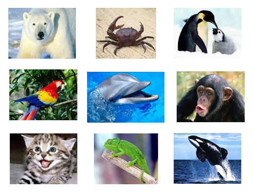 Meet Your Universe - Descubre Tu Universo: ¿De qué están cubiertos los ...