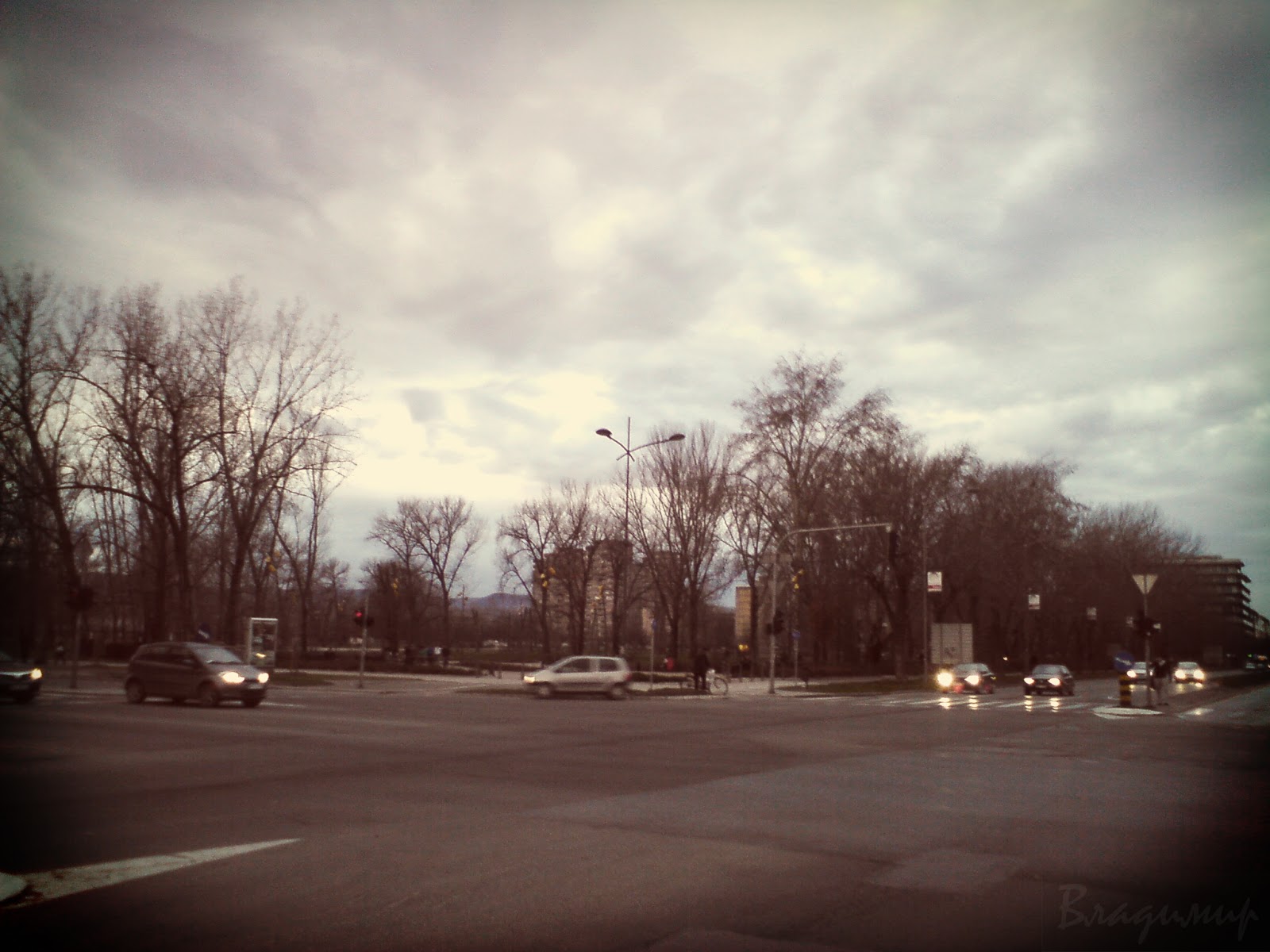 novi sad fotografije