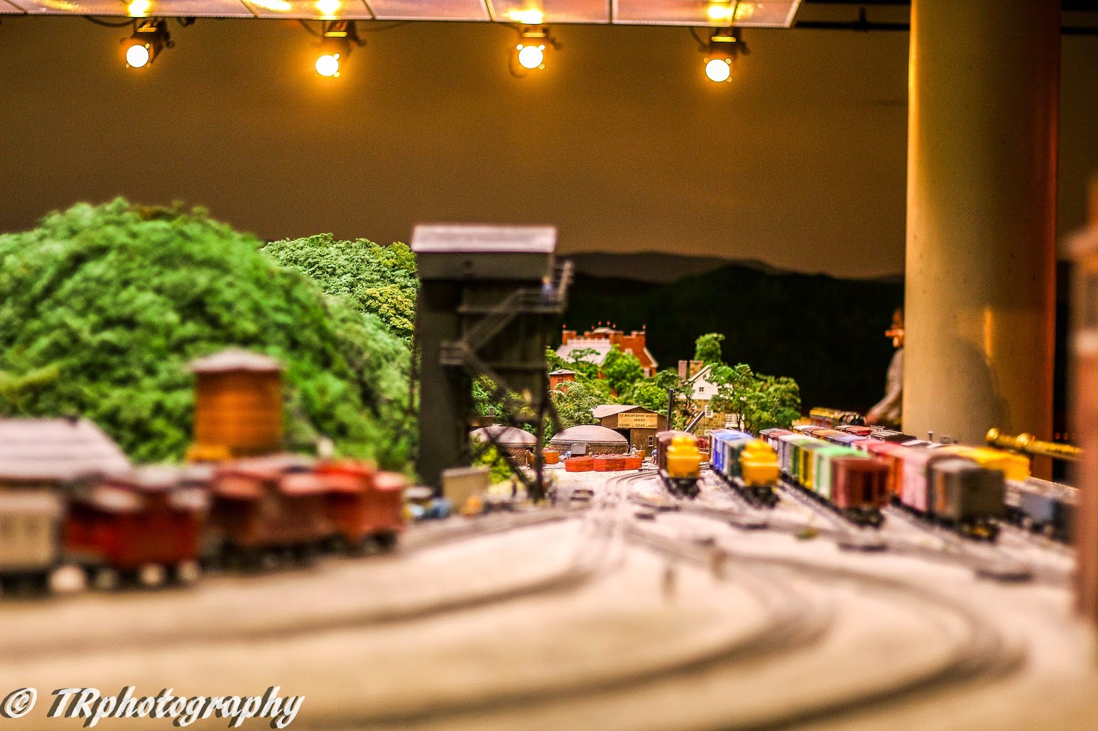 Tom Ratchkauskas Photography: Took the Midnight Train Going Anywhere ...